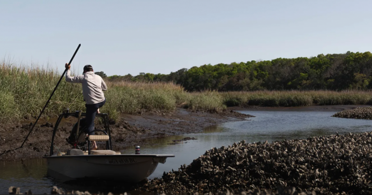 Protecting Georgia Redfish - One Hundred Miles