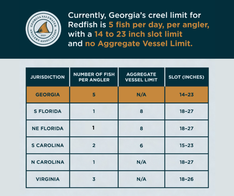 Protecting Georgia Redfish - One Hundred Miles