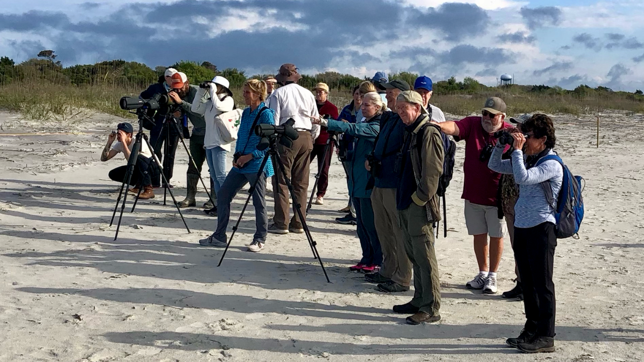 Naturalist 101: Birding with Coastal Georgia Audubon [SOLD OUT] - One ...